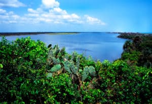 15 Best Things to Do in Edgewater (FL) - The Crazy Tourist