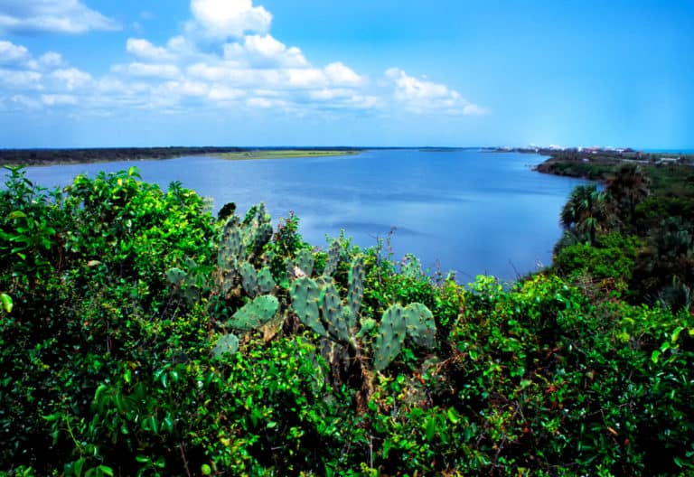 15 Best Things to Do in Edgewater (FL) - The Crazy Tourist