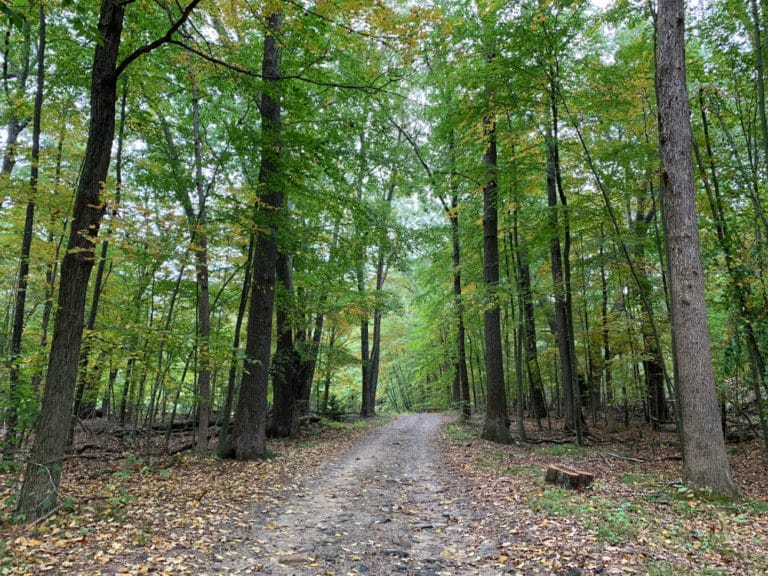 15 Best Things to Do in Mansfield (CT) - The Crazy Tourist