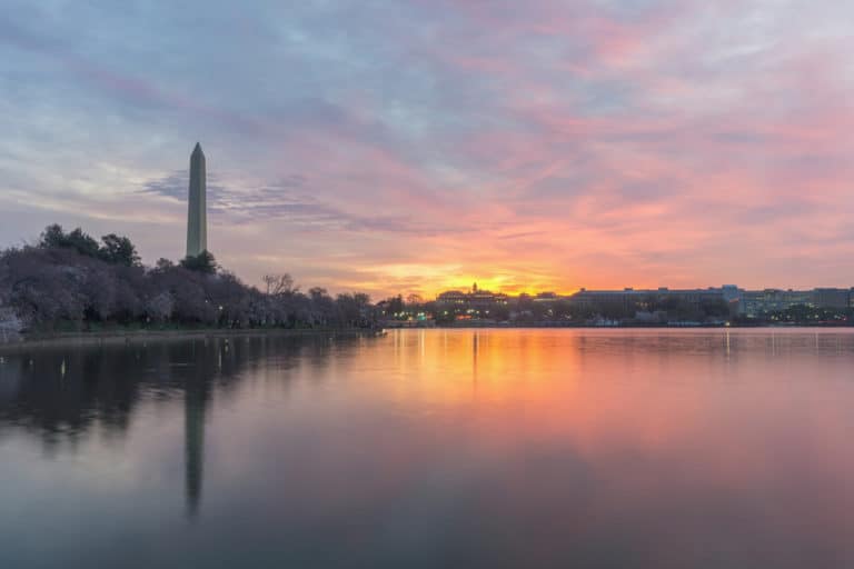 55 Best Things to Do in Washington DC - The Crazy Tourist