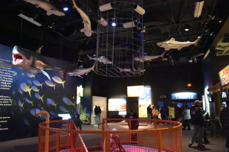 15 Best Things to Do in Groton (CT) - The Crazy Tourist