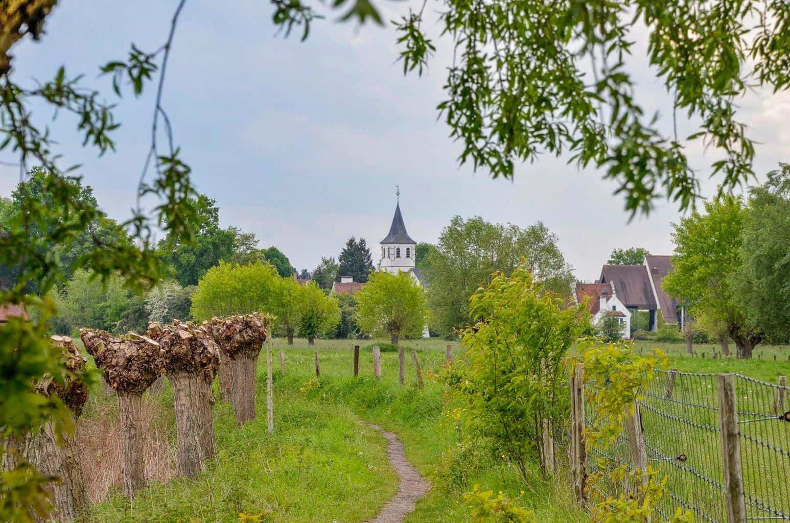 15 Best Things to Do in Lokeren (Belgium) - The Crazy Tourist