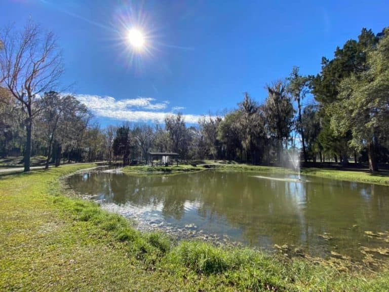 15 Best Things to Do in Brooksville (FL) - The Crazy Tourist