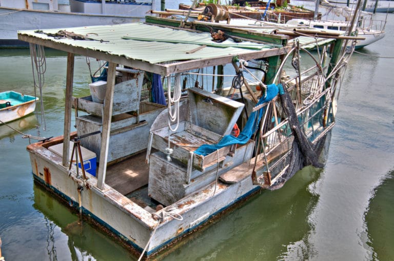 15 Best Things to Do in Longboat Key (FL) - The Crazy Tourist