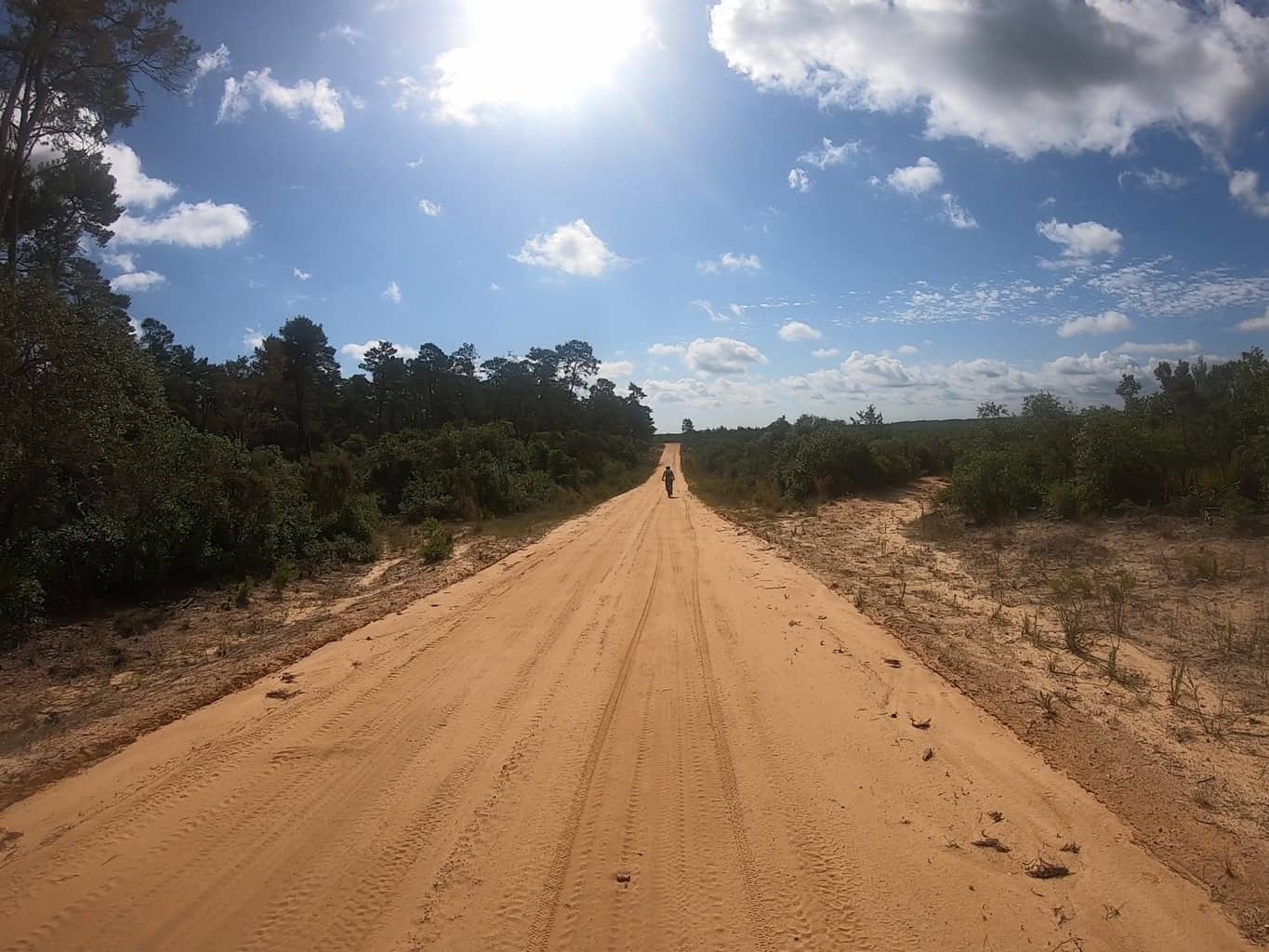 15 Best Things to Do in High Springs (FL) - The Crazy Tourist