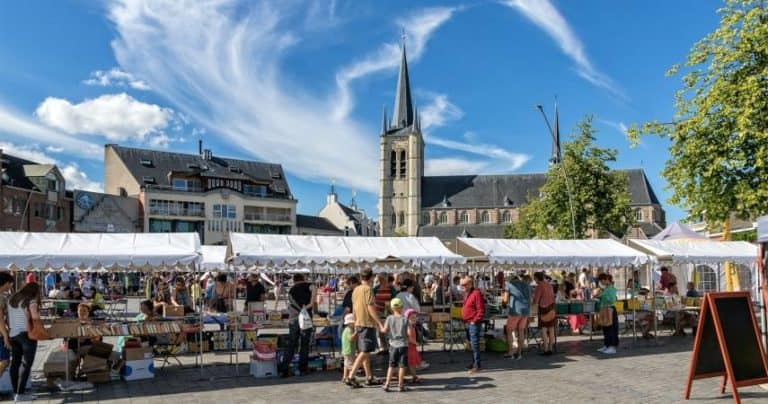 15 Best Things to Do in Geel (Belgium) - The Crazy Tourist