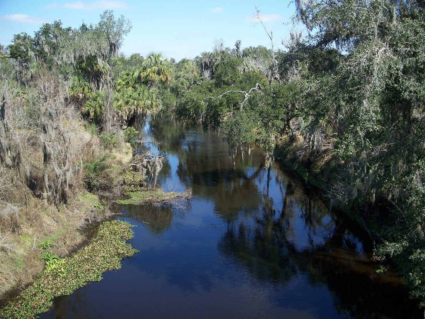 15 Best Things to Do in Wauchula (FL) - The Crazy Tourist