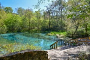 14 Best Thing to Do in Live Oak (FL) - The Crazy Tourist