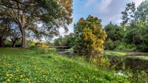 15 Best Things to Do in Kenneth City (FL) - The Crazy Tourist