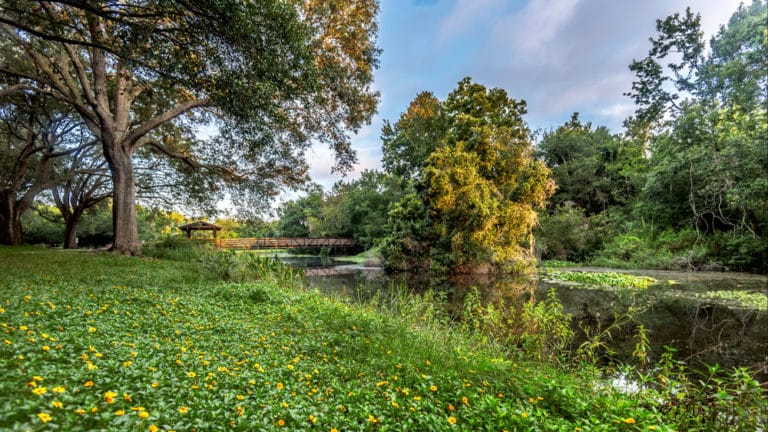 15 Best Things to Do in Kenneth City (FL) - The Crazy Tourist