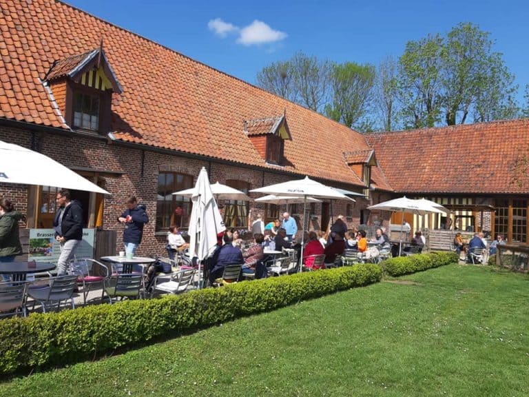 15 Best Things to Do in Waregem (Belgium) - The Crazy Tourist