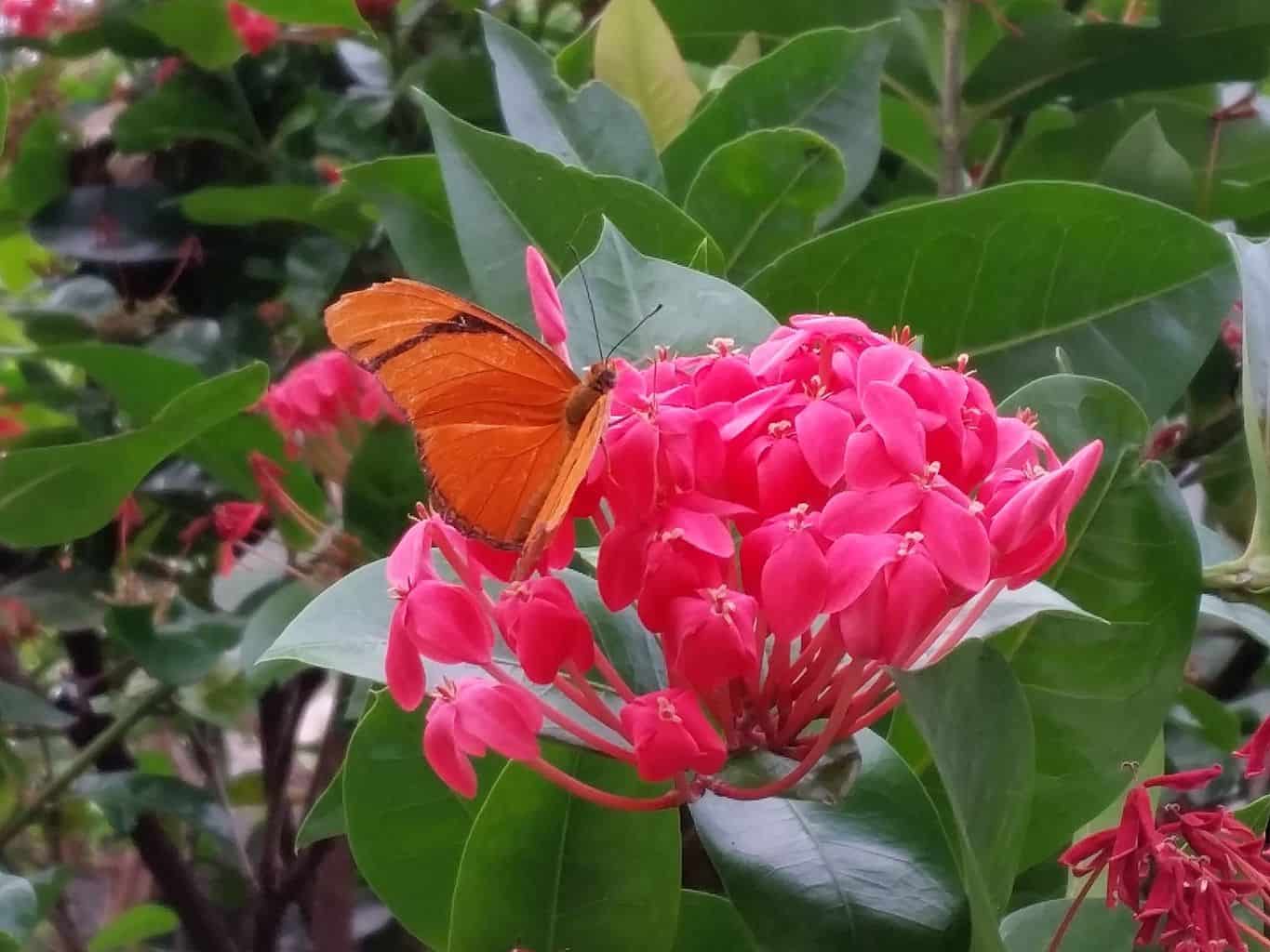 14 Best Things to Do in Fruita (CO) - The Crazy Tourist