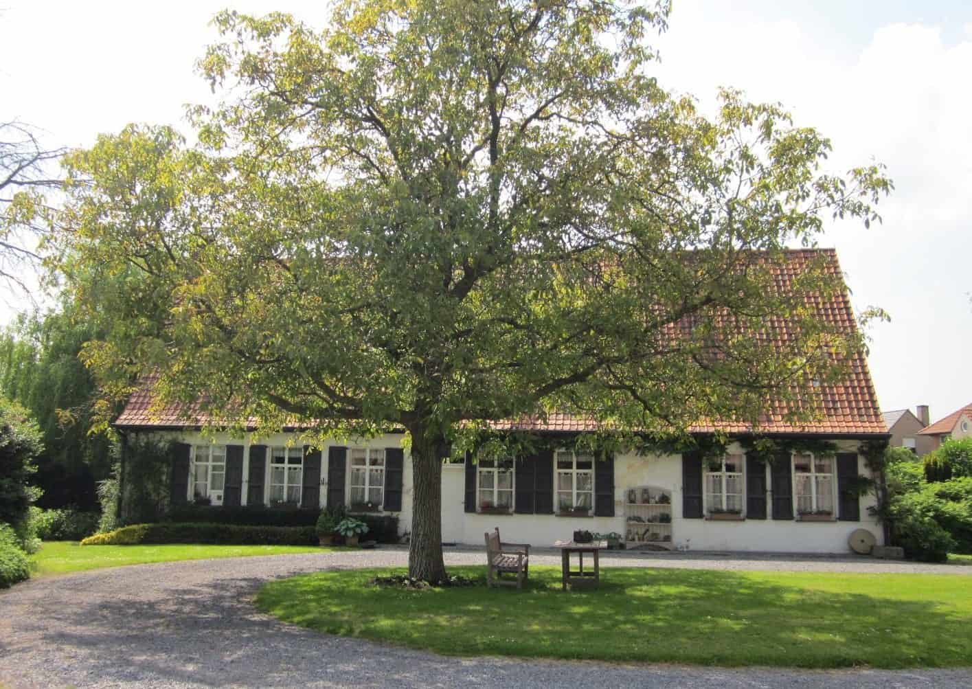 15 Best Things to Do in Waregem (Belgium) - The Crazy Tourist