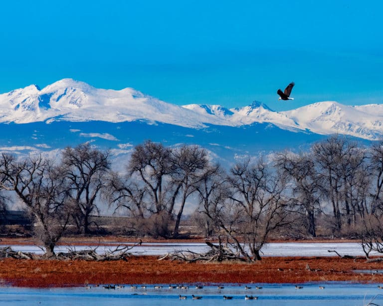 15 Best Things to Do in Fort Lupton (CO) - The Crazy Tourist