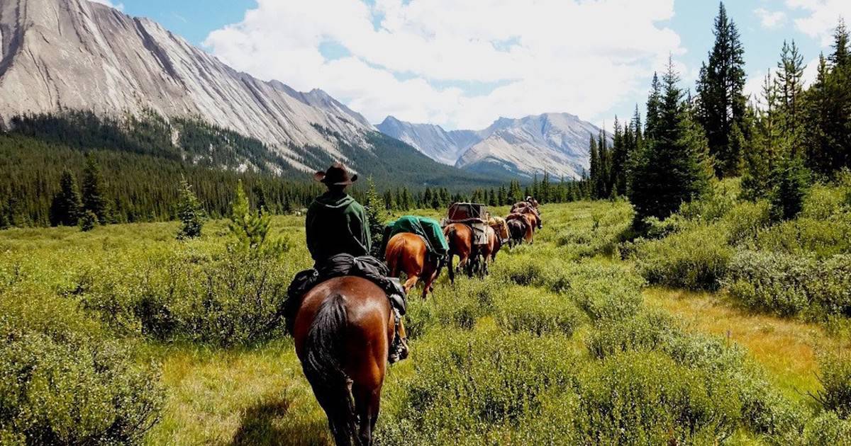 15 Best Banff Tours - The Crazy Tourist