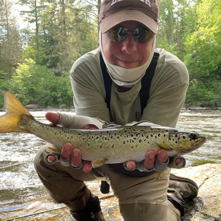 15 Best Things to Do in Gorham (Maine) - The Crazy Tourist