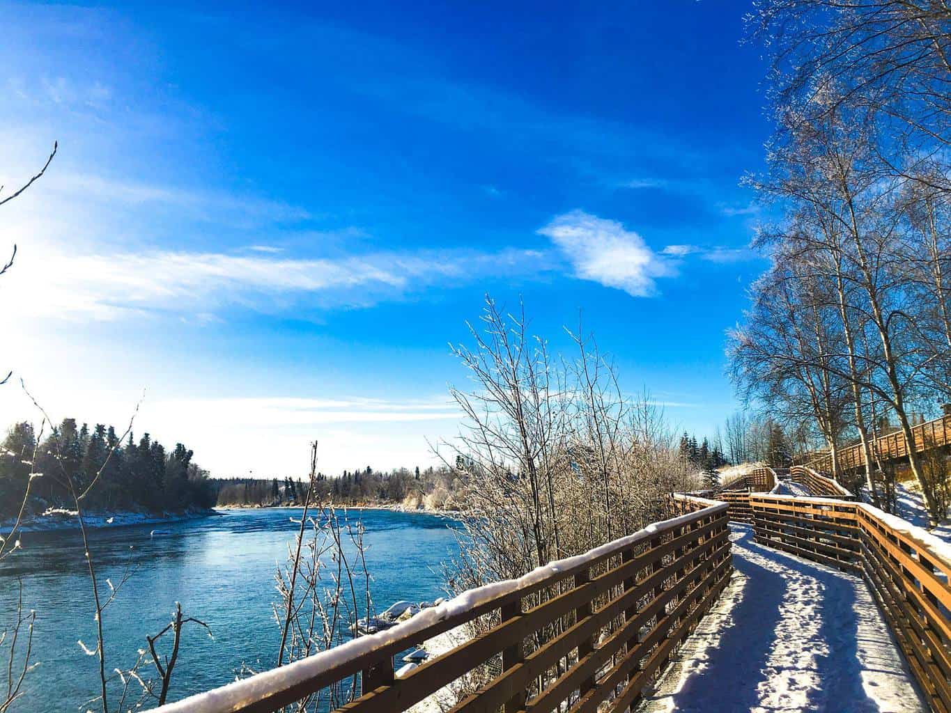 14 Best Things to Do in Soldotna (Alaska) - The Crazy Tourist