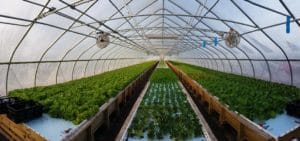 13 Best Things to Do in Lisbon (Maine) - The Crazy Tourist