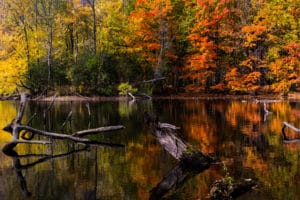 15 Best Things to Do in Pickering (Ontario, Canada) - The Crazy Tourist