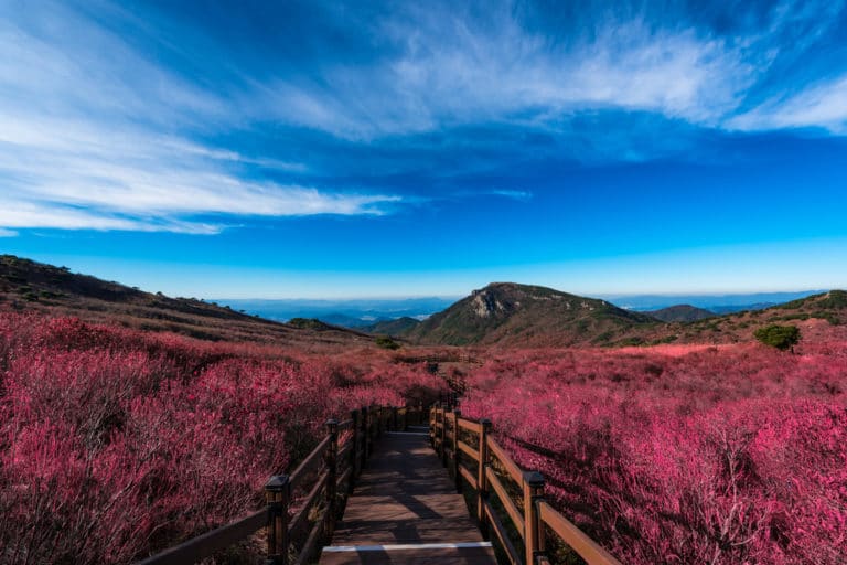 15 Best Things to Do in Daegu (South Korea) - The Crazy Tourist