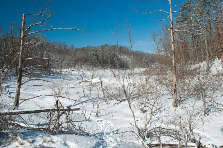 15 Best Things to Do in Rogers (Arkansas) - The Crazy Tourist