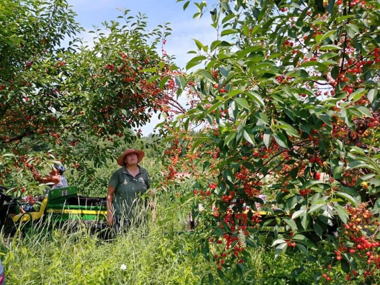 15 Best Things to Do in Buxton (Maine) - The Crazy Tourist