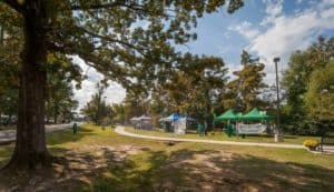 14 Best Things to Do in Warren (Arkansas) - The Crazy Tourist