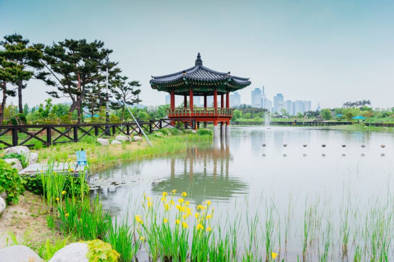 15 Best Things to Do in Daejeon (South Korea) - The Crazy Tourist