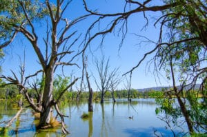 15 Best Things to Do in Wodonga (Australia) - The Crazy Tourist