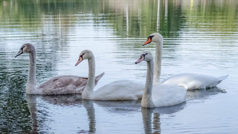 10 Best Things to Do in Killingly (CT) - The Crazy Tourist