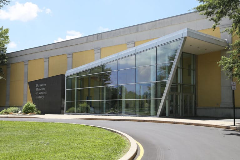 15 Best Things to Do in Townsend (DE) - The Crazy Tourist