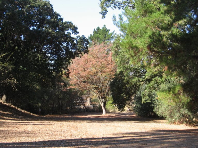 15 Best Things to Do in Pittsburg (CA) - The Crazy Tourist