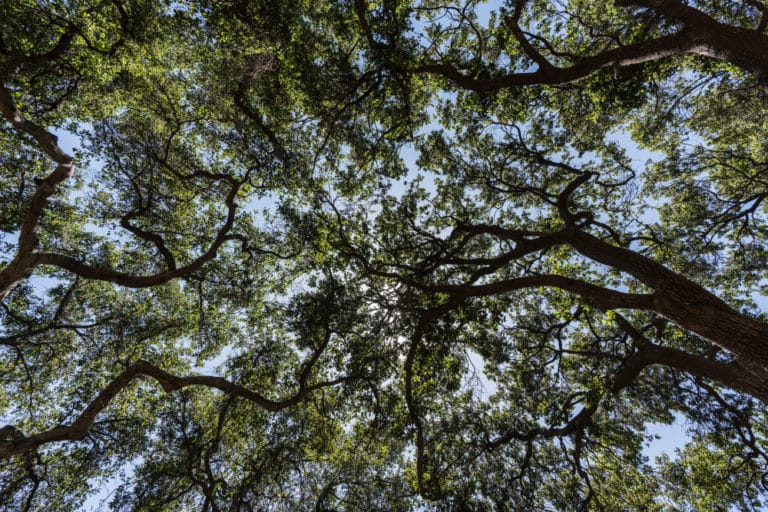 15 Best Things to Do in Simi Valley (CA) - The Crazy Tourist