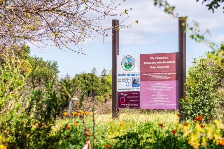 15 Things to Do in Santa Clara (CA) - The Crazy Tourist