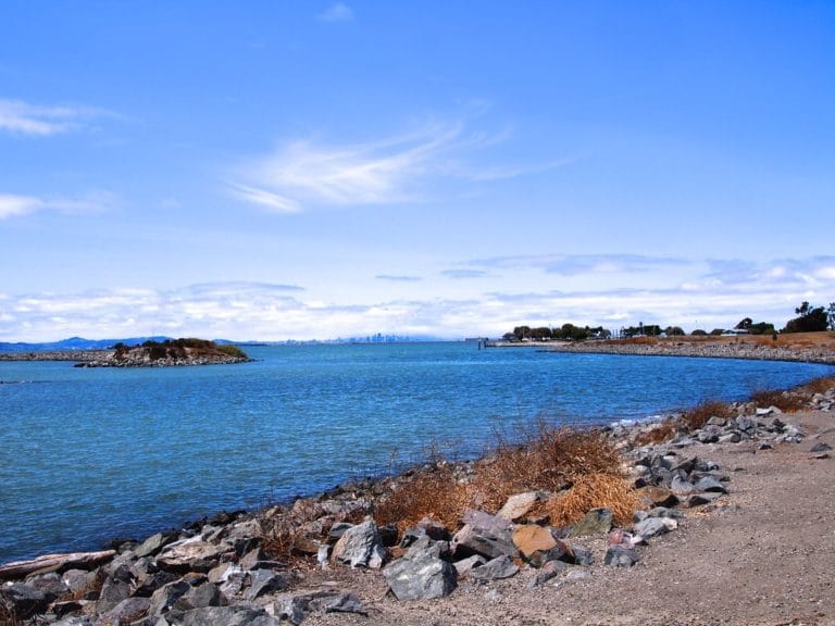 15 Best Things to Do in San Leandro (CA) - The Crazy Tourist