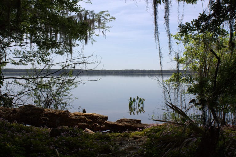 15 Best Lakes in Florida - The Crazy Tourist