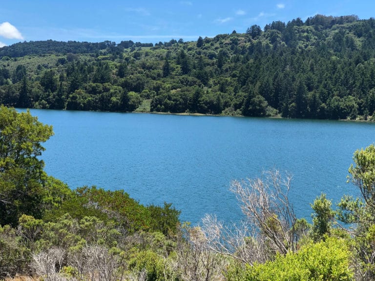 15 Best Things to Do in San Mateo (CA) - The Crazy Tourist