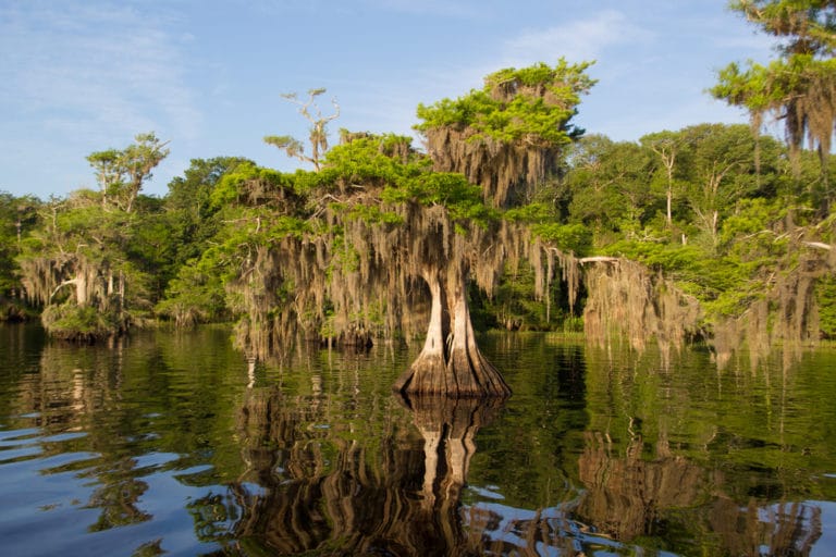 15 Best Lakes in Florida - The Crazy Tourist