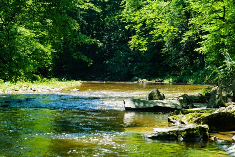 15 Best Things to Do in Townsend (DE) - The Crazy Tourist