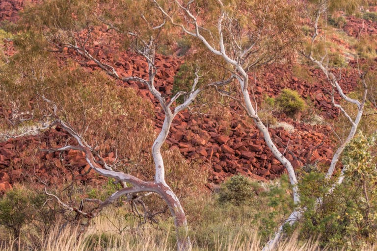 15 Best Things to Do in Karratha (Australia) - The Crazy Tourist