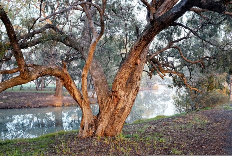 15 Best Things to Do in Horsham (Australia) - The Crazy Tourist