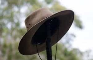 15 Best Things to Do in Kempsey (Australia) - The Crazy Tourist