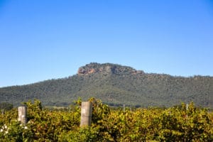 15 Best Things to Do in Singleton (Australia) - The Crazy Tourist