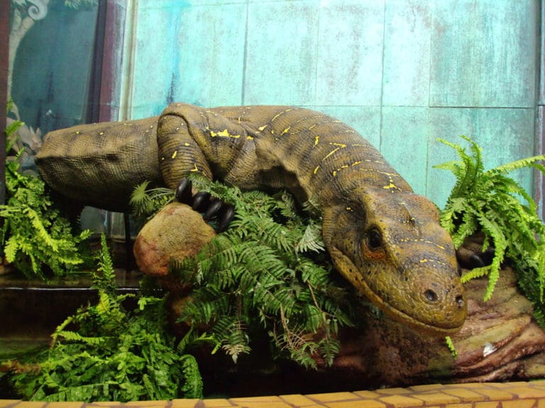 15 Best Things to Do in Mount Isa (Australia) - The Crazy Tourist