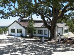 15 Best Things to Do in Pleasanton (CA) - The Crazy Tourist