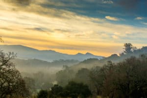 15 Best Things to Do in Pleasanton (CA) - The Crazy Tourist