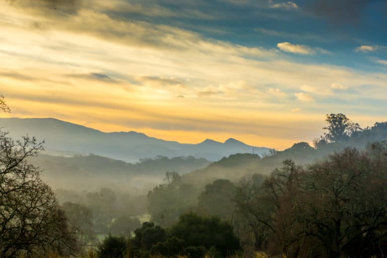 15 Best Things to Do in Pleasanton (CA) - The Crazy Tourist