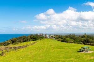 15 Best Things to Do in Taree (Australia) - The Crazy Tourist