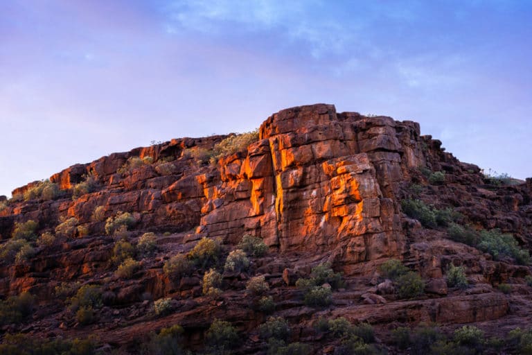 15 Best Things to Do in Whyalla (Australia) - The Crazy Tourist