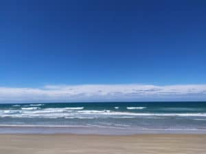 15 Best Things to Do in Taree (Australia) - The Crazy Tourist